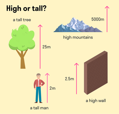 English Words and Synonyms – Small-Little, Big-Large, Tall-High ...